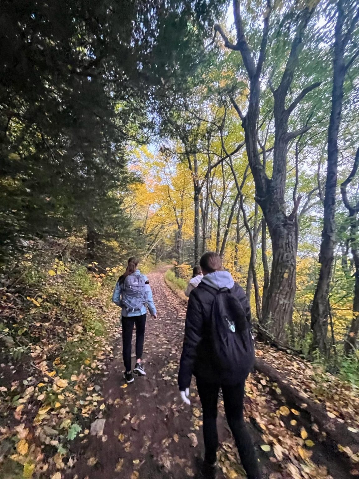 Hiking Tips for College Students – BCVoice