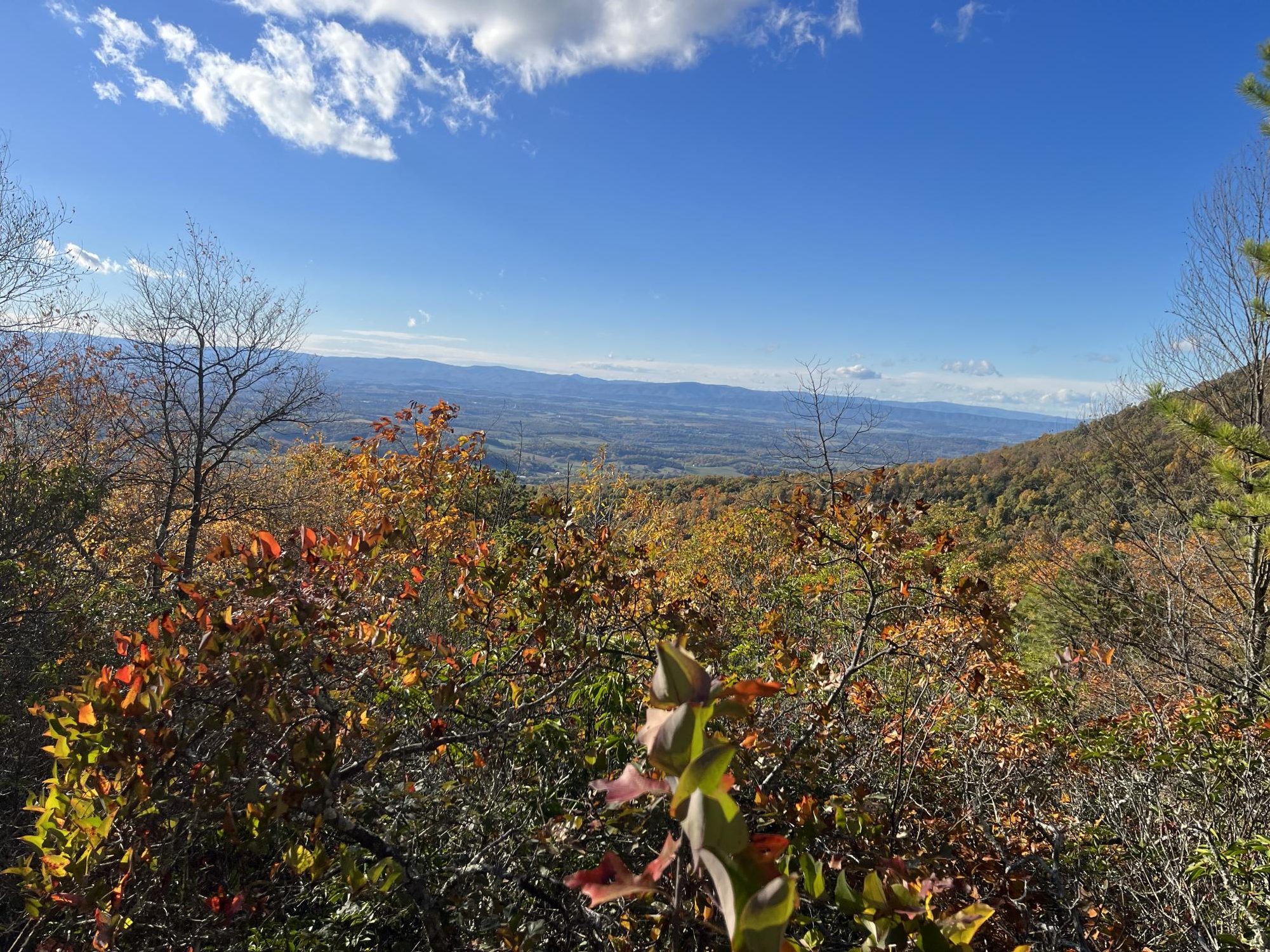 Hiking Tips for College Students – BCVoice